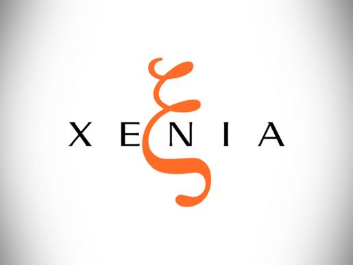 Logo e Brochure Xenia